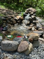 My Nature/Sit Spot Experience – myhiddensanctuary.com